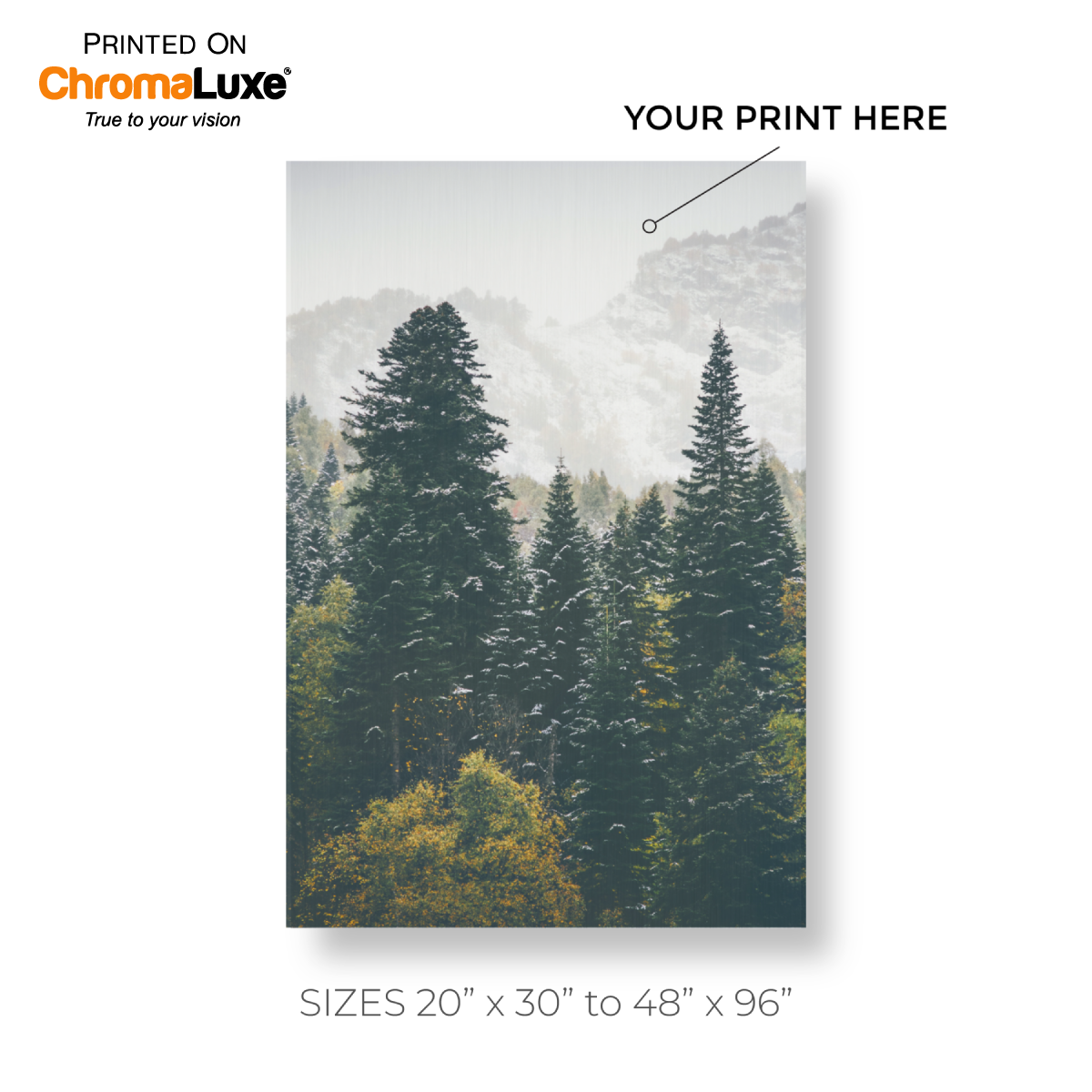 Large Portrait Clear Aluminum Prints | Semi Gloss Finish – New York ...
