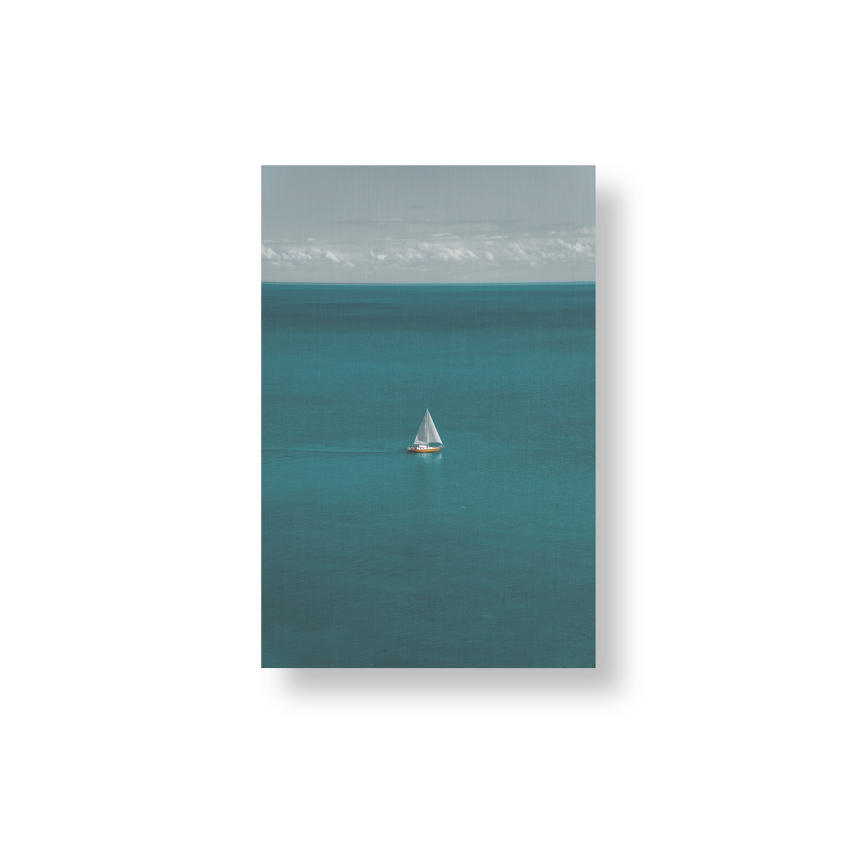 Student | Medium Portrait Clear Aluminum Prints | Matte Finish – New ...