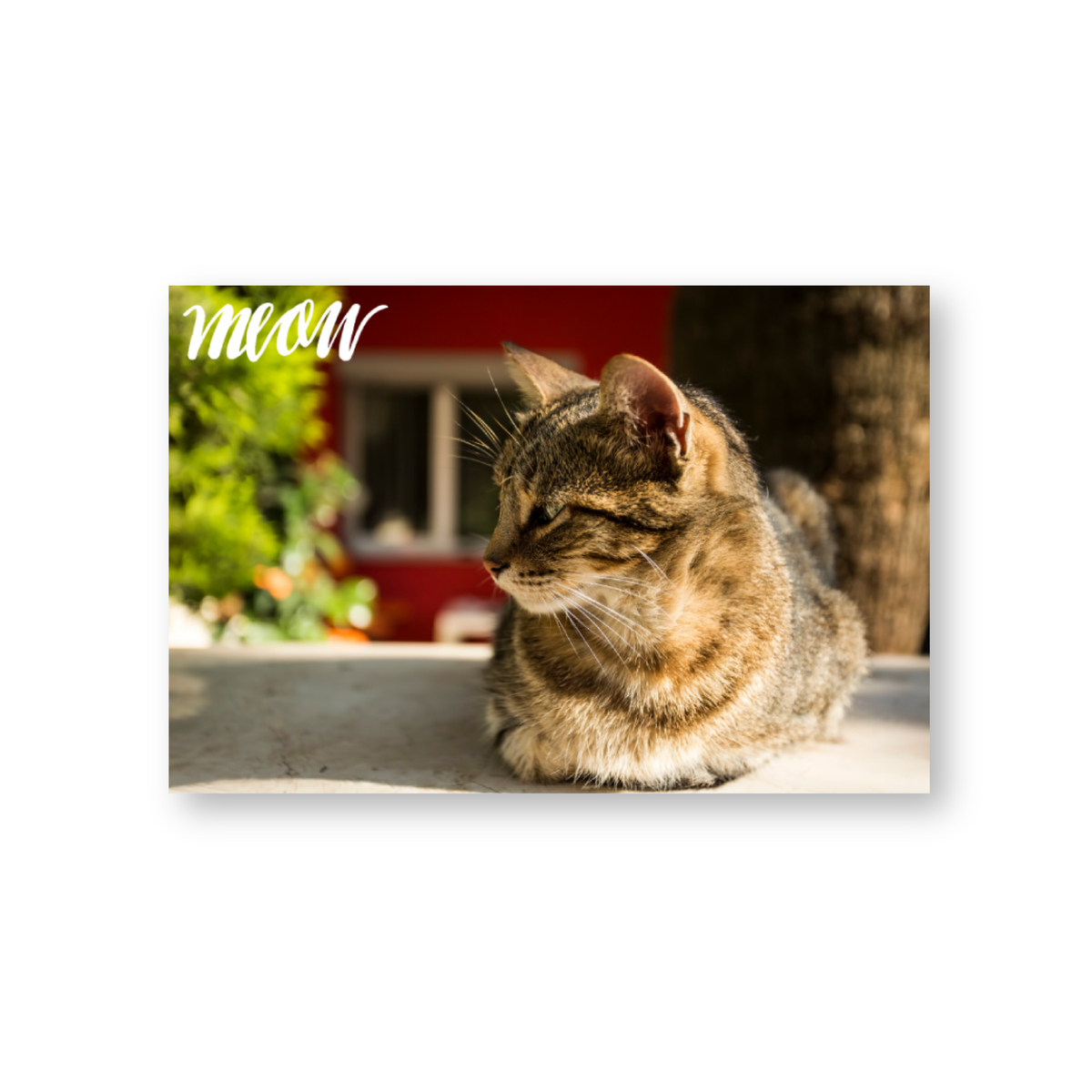 Large Landscape White Aluminum Prints | High Gloss Finish – New York ...